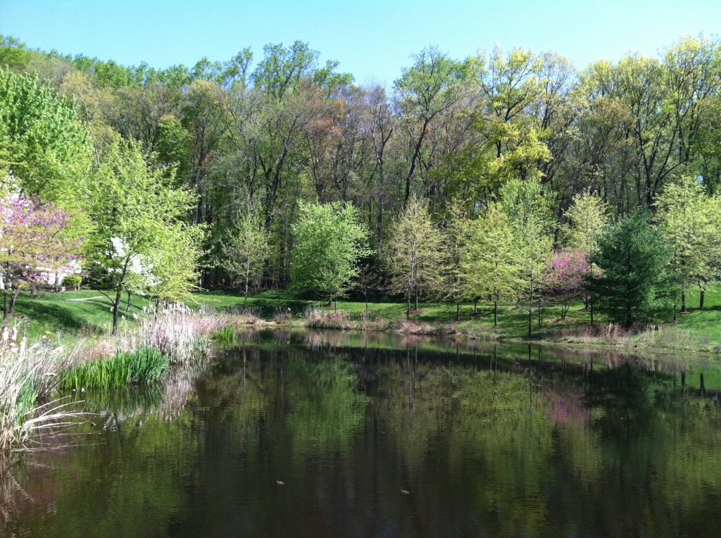 February 2014 – Lucinda Marshall